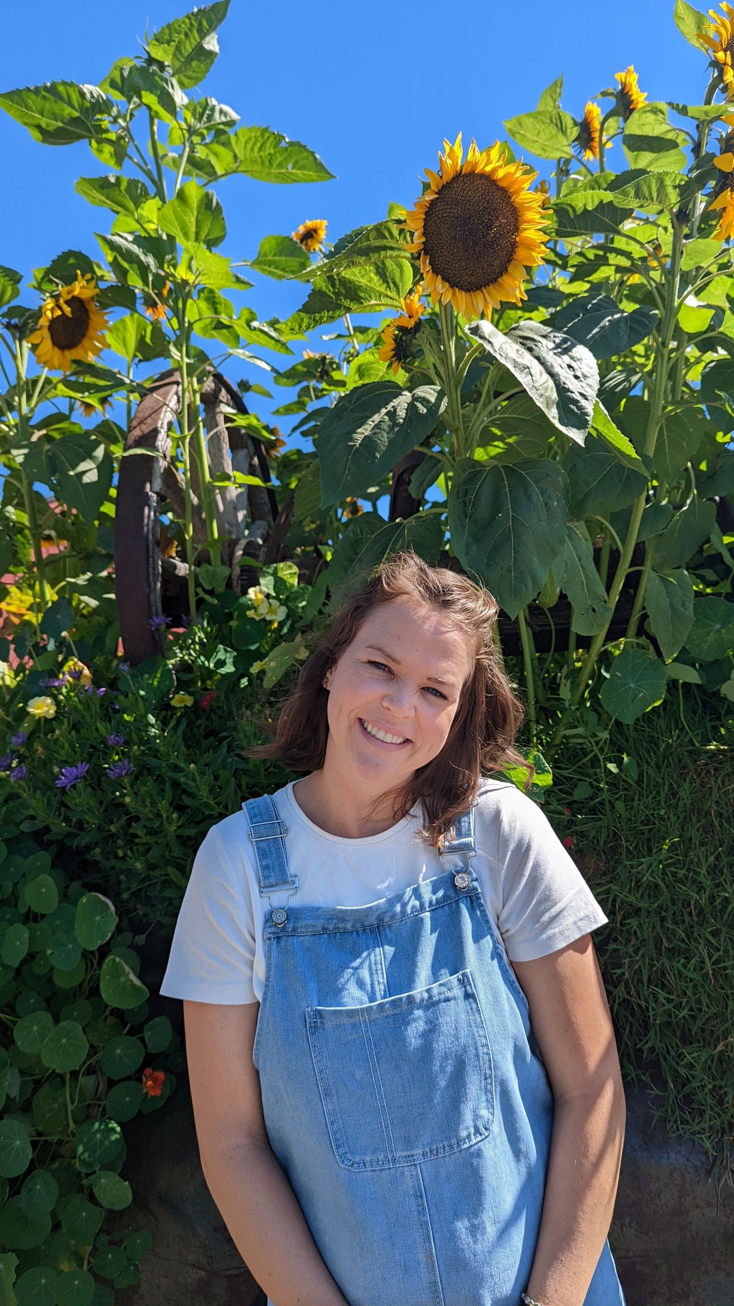 Lucy Luong, Nutritionist/Dietitian, Calgary, AB, T1Y | HealthProfs.com